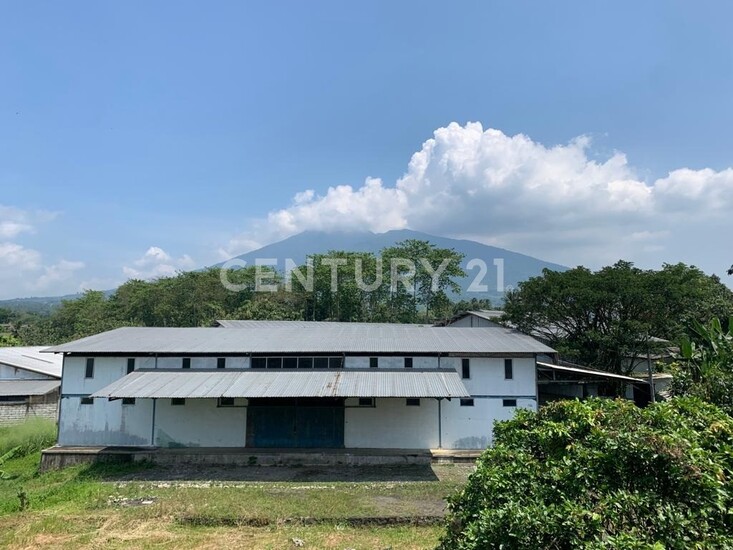 Gudang Maseng View Gn Salak Ds Ciadeg Cigombong Kab Bogor | One21